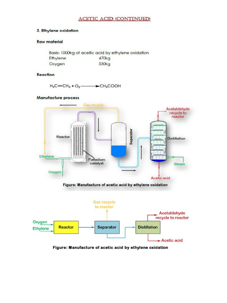 Lecture 4 | PDF | Acetic Acid | Fermentation