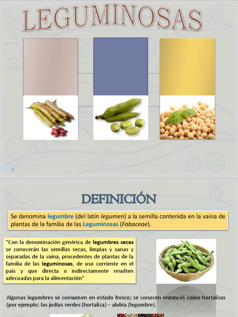 Leguminosas Ejemplos