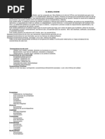 Modelo de Calidad Dromey | PDF | Software | Informática