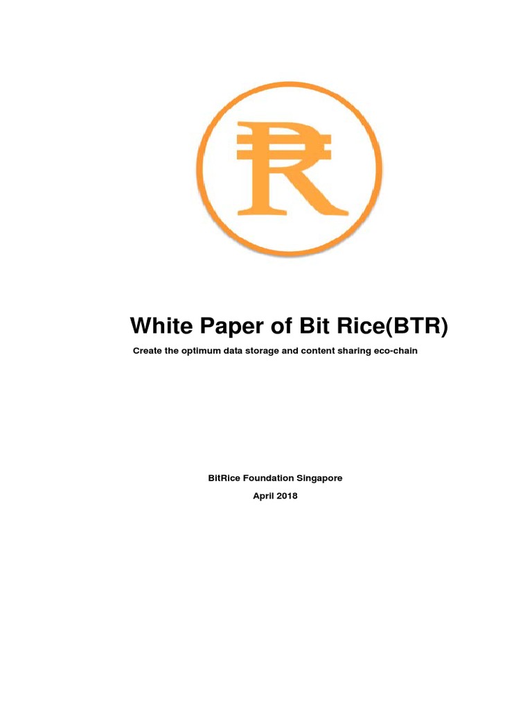White Paper of Bit Rice (BTR) : Create The Optimum Data Storage and ...