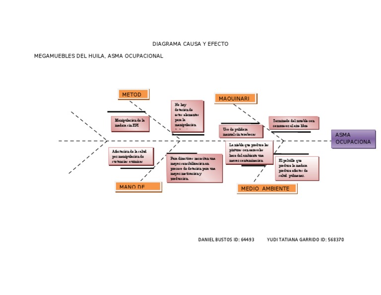 Diagrama Causa y Efecto | PDF | Bienestar | Medicina
