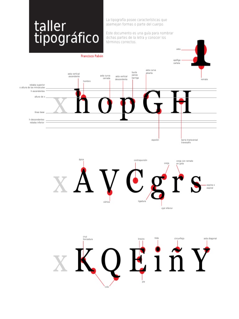 Anatomía De Las Letras Anatomía Tipográfica | Envato Tuts+