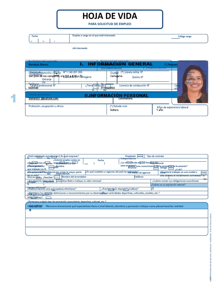 X3 Formato Hoja de Vida Minerva 1003 Word | PDF | Economias | Business
