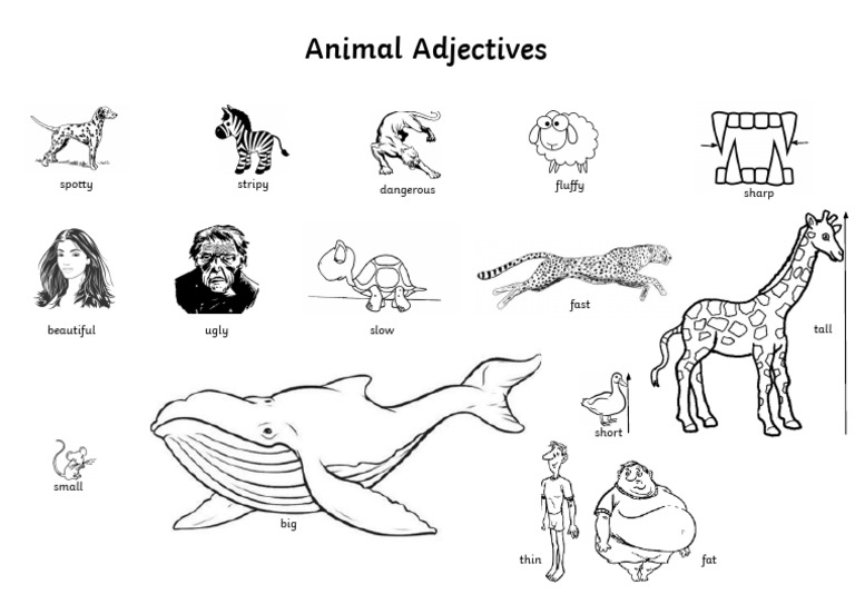 Animal Adjectives for Kids | PDF