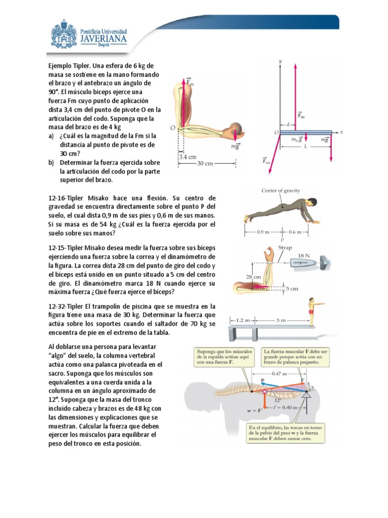 Ejercicios Clase Torques | PDF