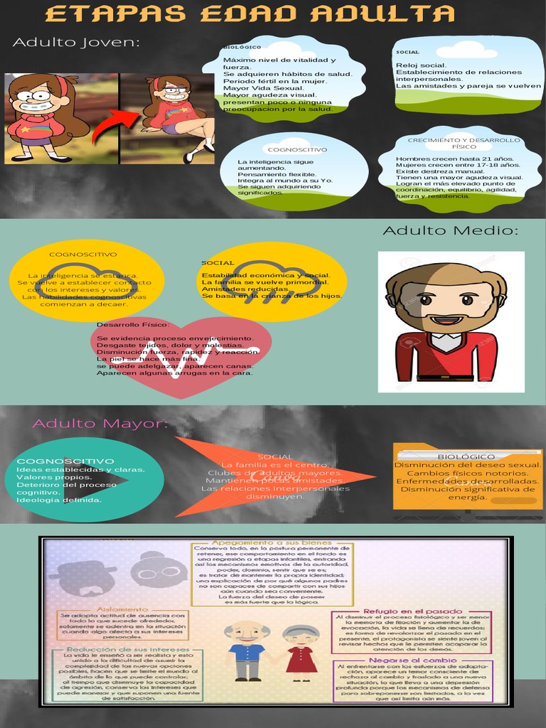 Infografia Adultez | PDF | Adultos | Vejez