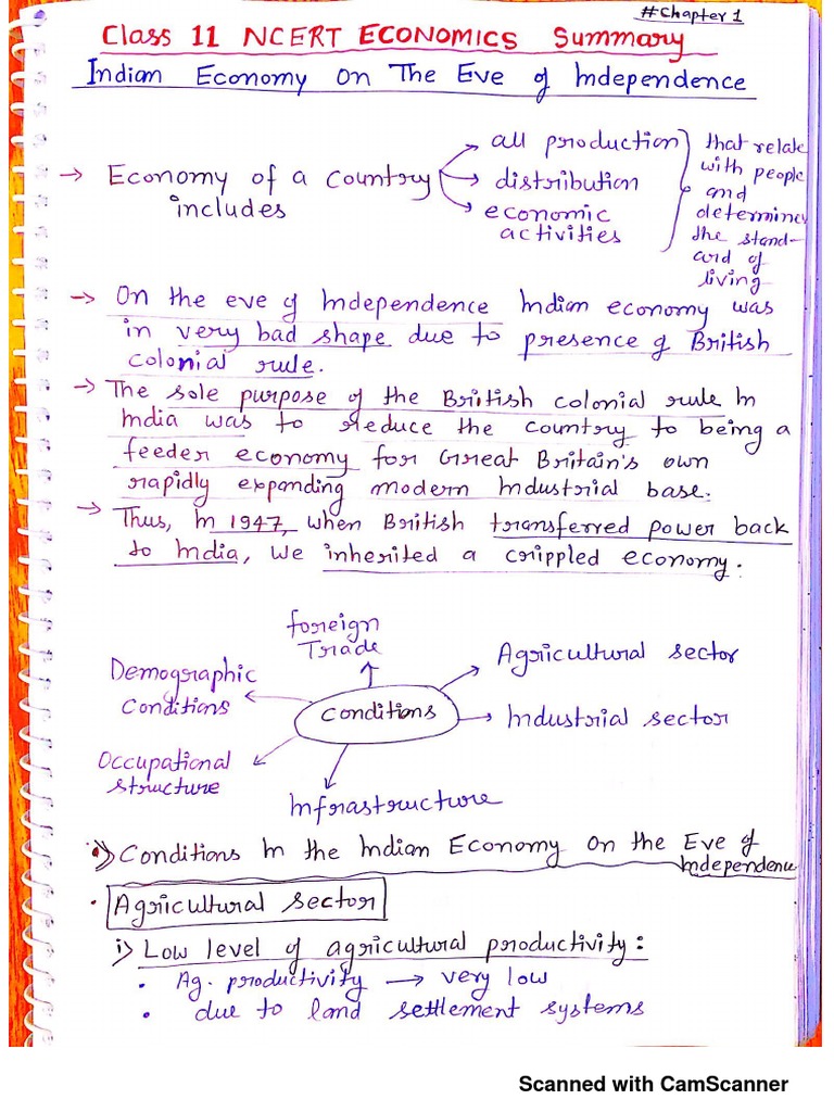 Economics Class 11 Chapter 1 | PDF
