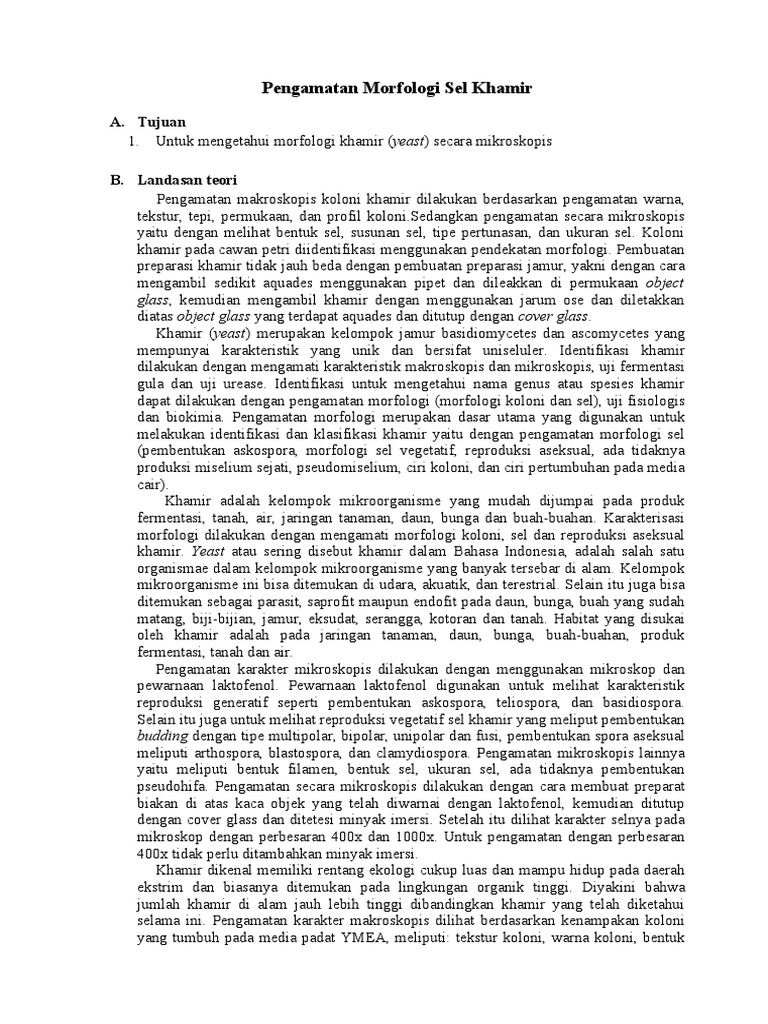 Pengamatan Morfologi Sel Khamirqdddw | PDF