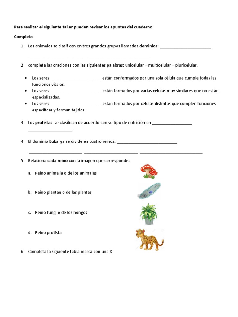 Los Dominios Grado Tercero | PDF