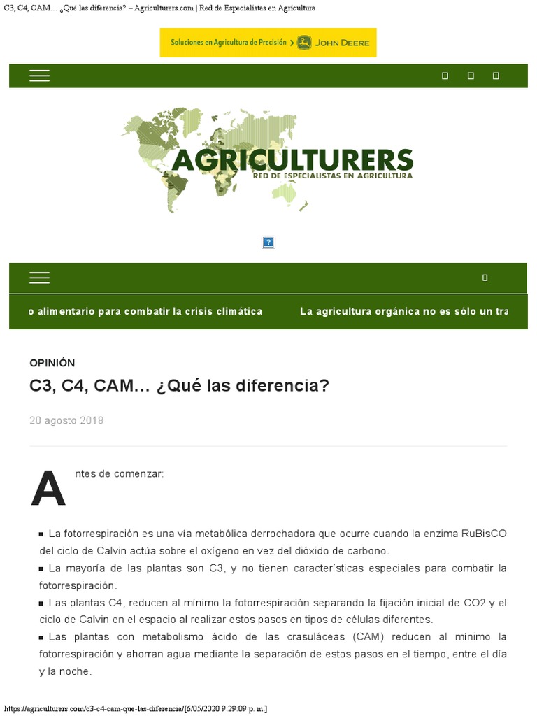 C3, C4, CAM ¿Qué Las Diferencia - Agriculturerscom Red de Especialistas ...