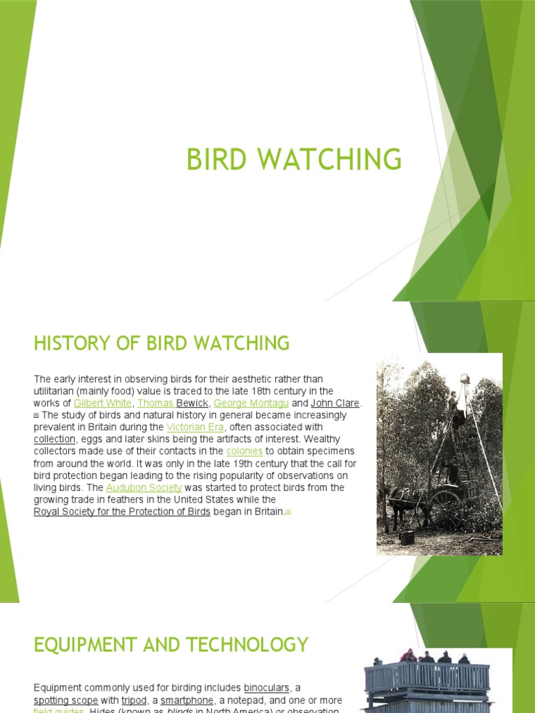 Bird Watching | PDF