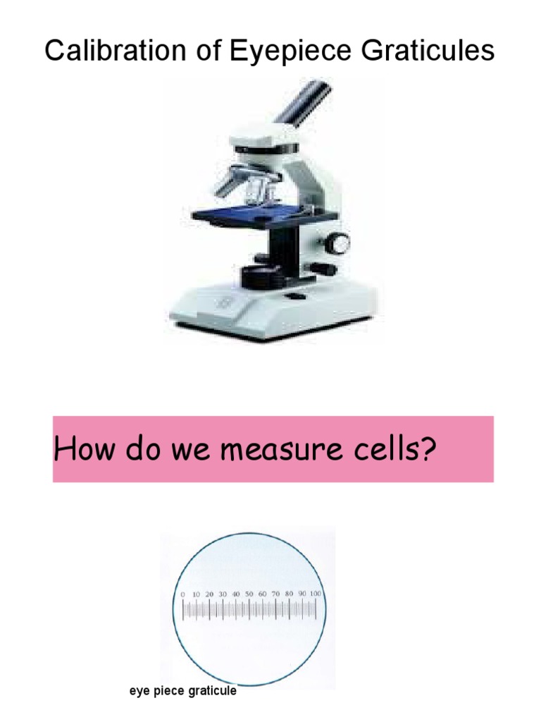 Calibrating Eyepiece Graticules | PDF