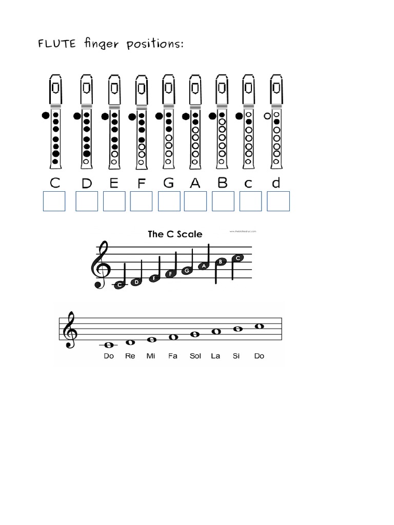 Flute Finger Position Guide | PDF