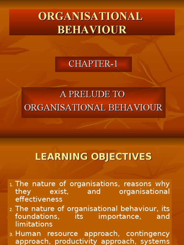 Chapter 1 | PDF | Organizational Behavior | Psychology