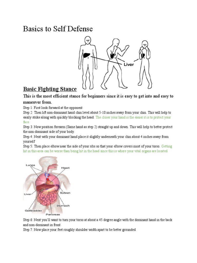 Basics To Self Defense: Basic Fighting Stance | PDF | Sports | Leisure