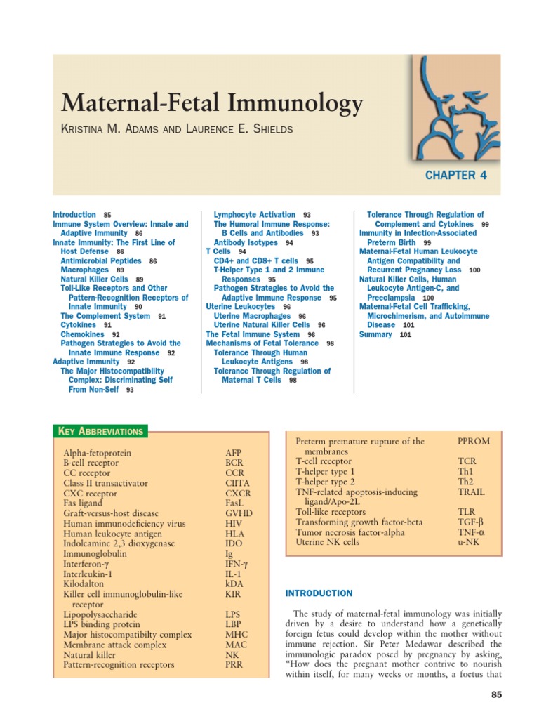 Maternal-Fetal Immunology Overview | PDF | Complement System | Immune ...