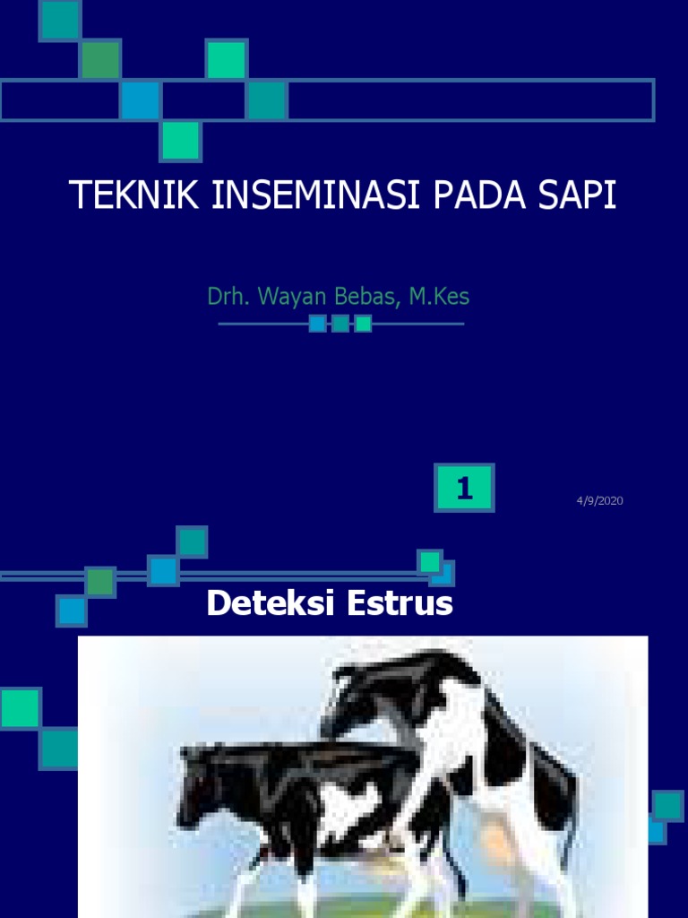 Teknik Inseminasi Buatan Sapi | PDF