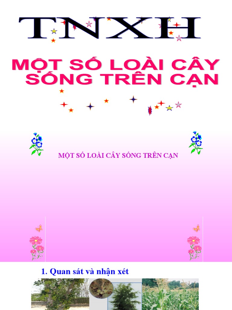 Bai 25 Mot So Loai Cay Song Tren Can | PDF