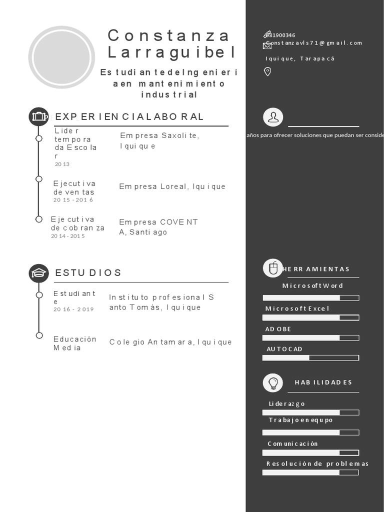 Constanza Larraguibel CV | PDF