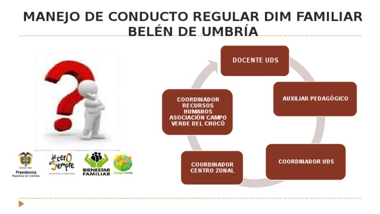 Conducto Regular | PDF