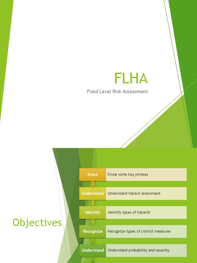 Field Level Risk Assessment | PDF | Hazards | Risk
