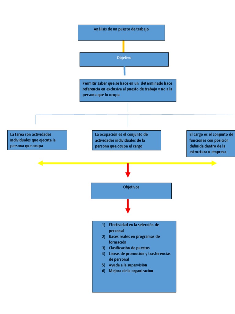 Bimbo Mapa Mental | PDF