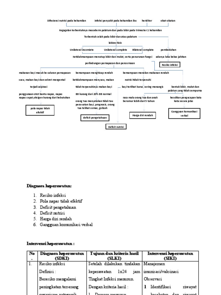 Pathway Bibir Sumbing | PDF