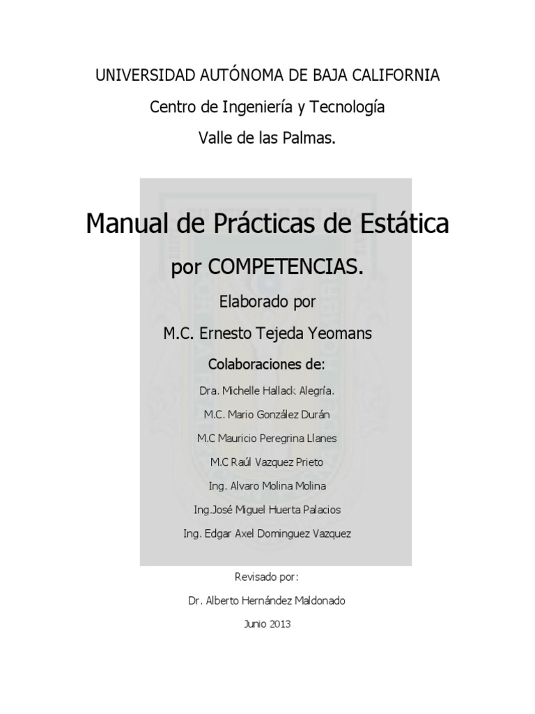 Manual Lab Estatica | PDF | Hoja de cálculo | Vector Euclidiano
