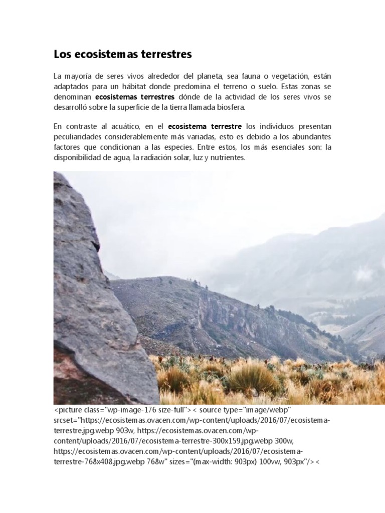 Los Ecosistemas Terrestres | PDF | Ecosistema | Selva