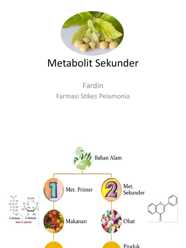 Metabolit Sekunder 1 | PDF