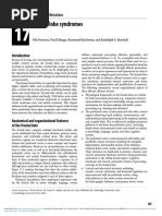 Modified Agitated Behavior Scale (ABS) | PDF | Mental Health | Emotions