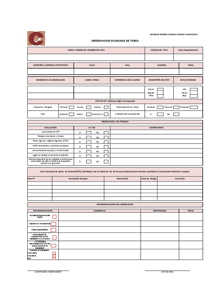 Formato Opt | PDF | Business | Informática y tecnología de la información