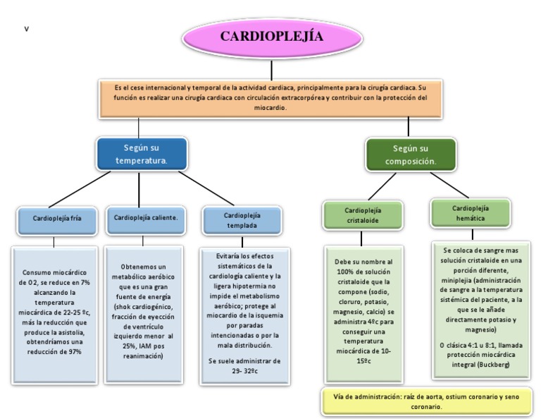 Cardioplejia | PDF | Corazón | Fisiología
