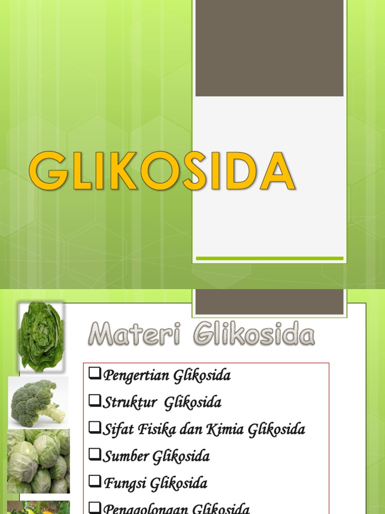 Glikosida 1 PDF | PDF