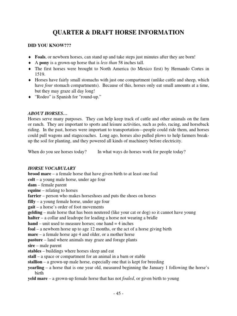 Horse - DICTIONARY | PDF | Horse Gait | Equidae