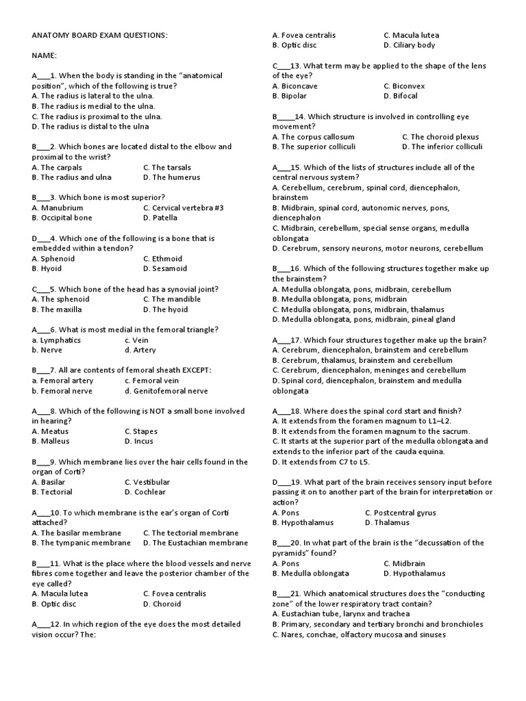 Anatomy Board Exam Questions | PDF | Heart Valve | Brainstem