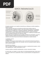 Tipos y Funciones de los Resonadores Vocales | PDF | Sonido | Boca