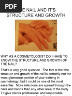 Worksheet Nails | PDF | Nail (Anatomy) | Integumentary System