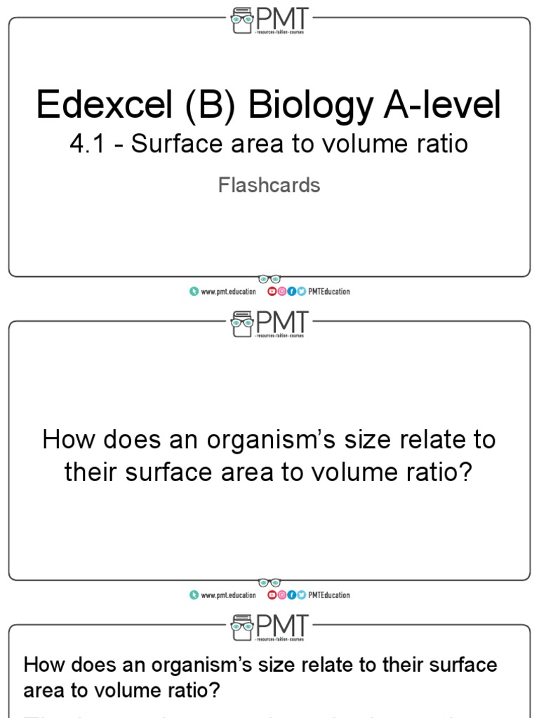 Flashcards - Topic 4.1 Surface Area To Volume Ratio - Edexcel (B ...