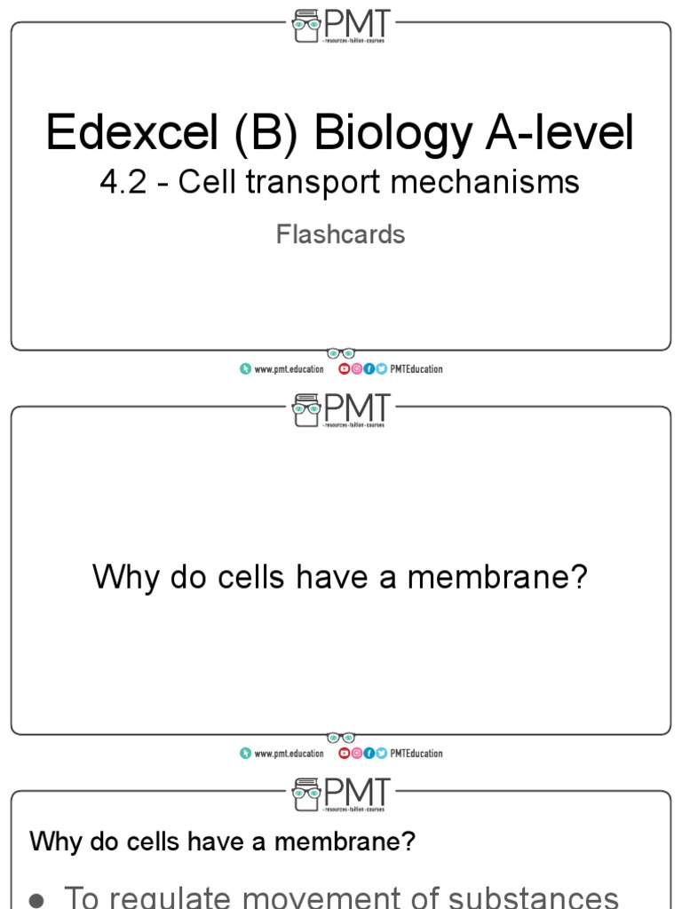 Flashcards - Topic 4.2 Cell Transport Mechanisms - Edexcel (B) Biology ...