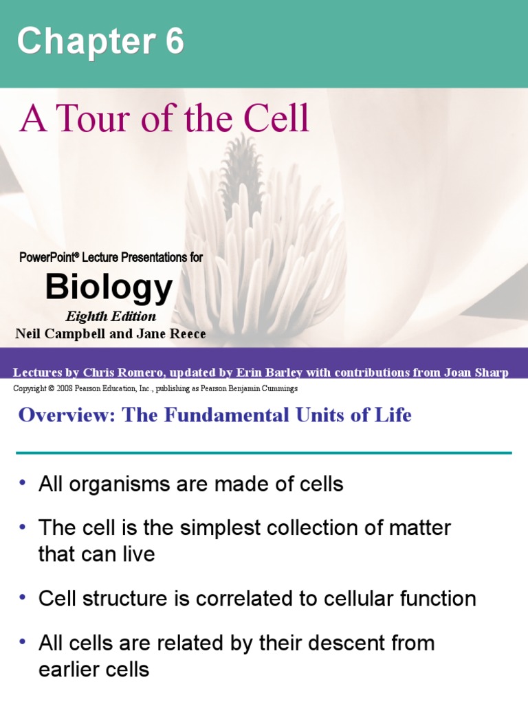 A Tour of The Cell: Biology | PDF | Endoplasmic Reticulum | Cytoskeleton