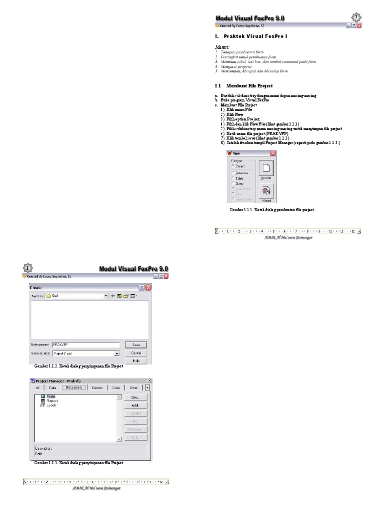 Visual Fox Pro | PDF