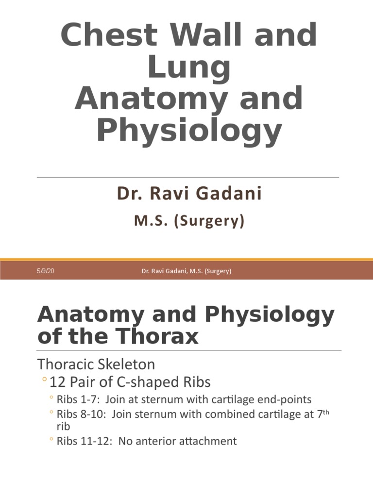Thoracic Anatomy and Physiology Guide | PDF | Thorax | Lung