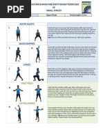 Upper Body Thera Band Exercise Program - Basic | PDF | Elbow | Arm