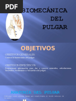 Historia de Ellsworth M. Statler | PDF | Viajes y turismo