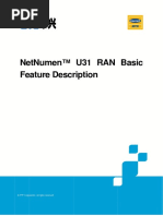 NetNumen U31 Unified Element Management System Software Installation Guide | PDF | Operating ...