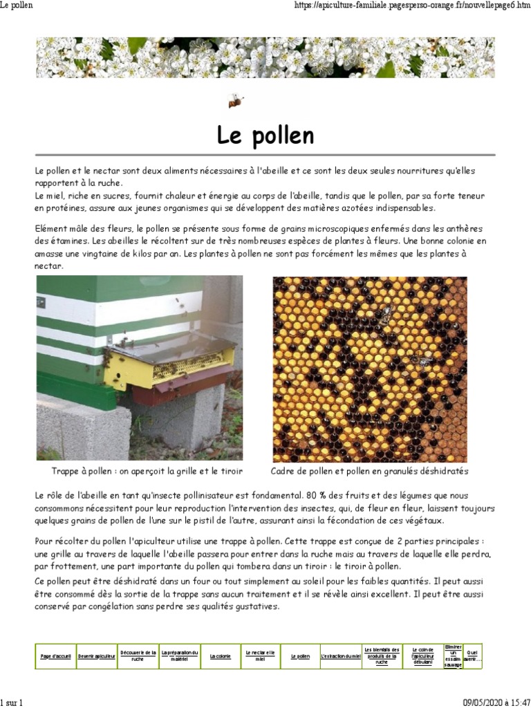 Le Pollen | PDF | Pollen | Apiculture