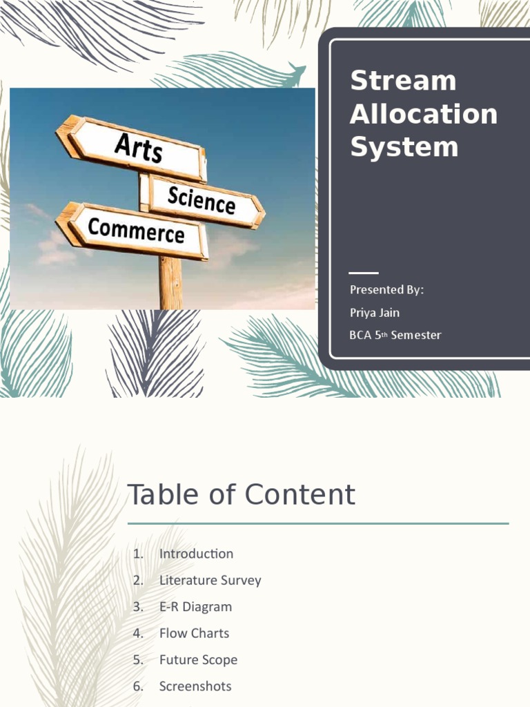Stream Allocation System | PDF | Information Technology Management | Information Science
