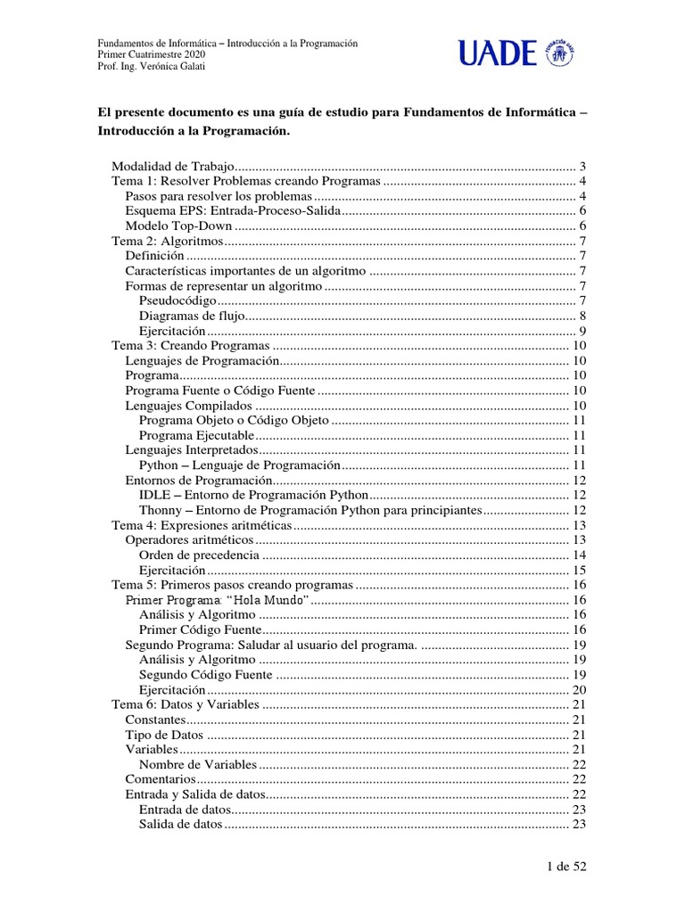 FdI IaP Guia de Estudio v3 0 | PDF | Lenguaje de programación | Programa de computadora