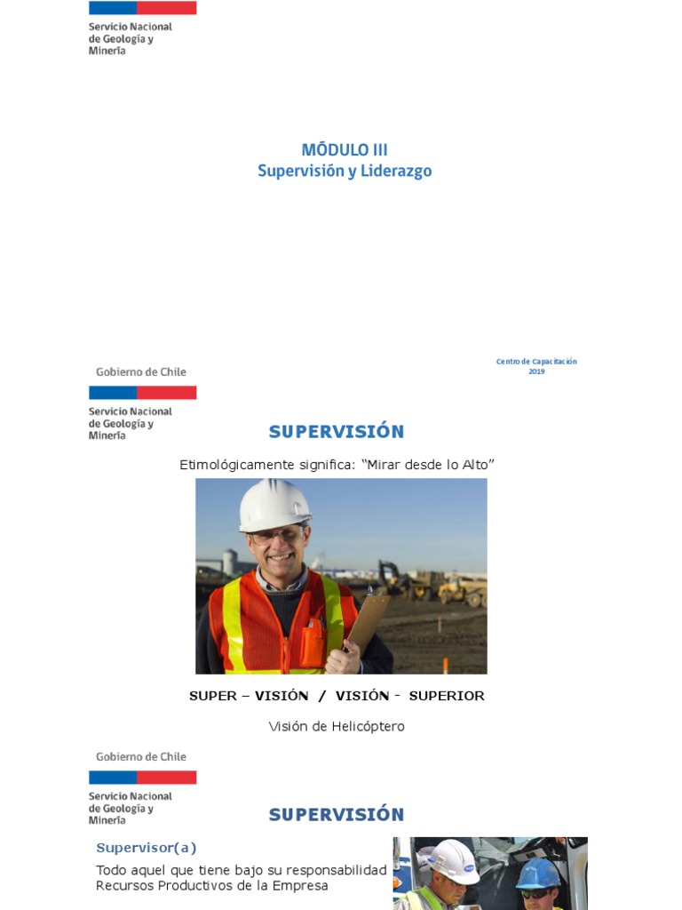 Supervisión y Liderazgo en Empresas Mineras | PDF | Liderazgo | Toma de ...